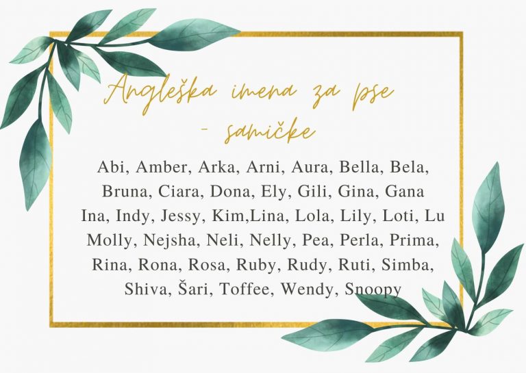 Najlepša imena za pse od A do Ž - Raptas.si